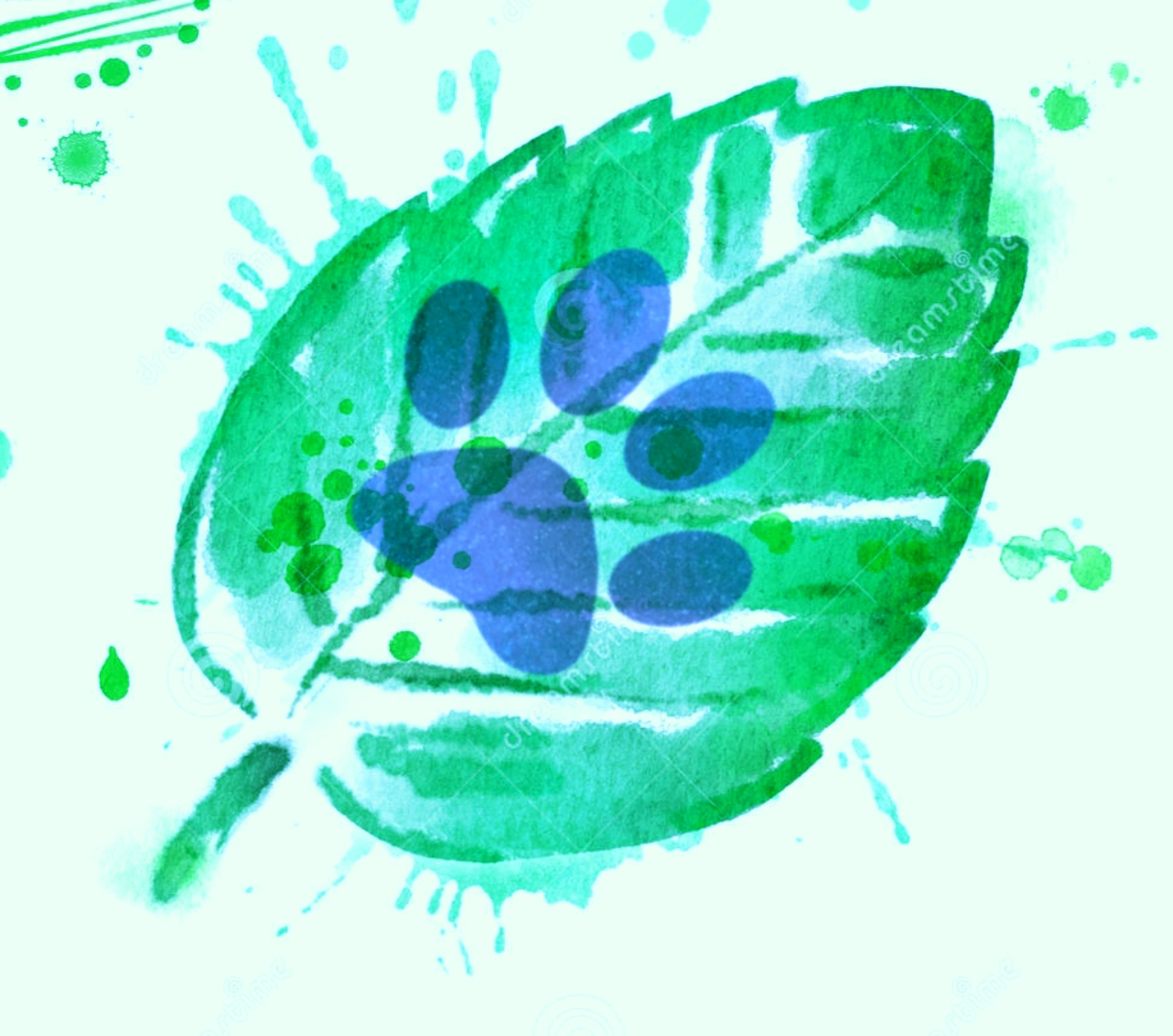 MEOWMINT - InspireUplift Marketplace