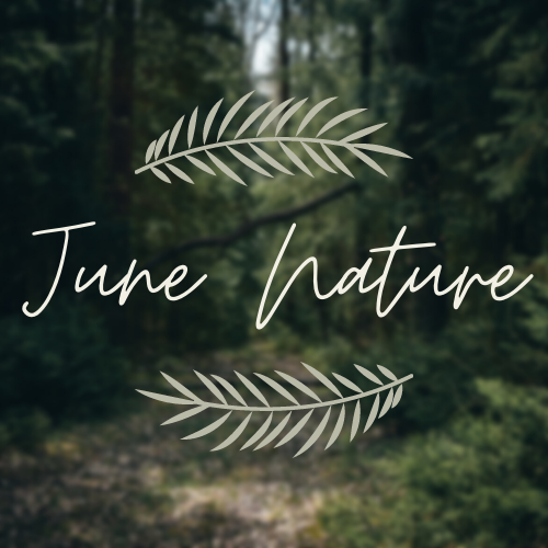 JuneNature - Inspire Uplift