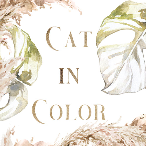 CatInColorClipart - Inspire Uplift