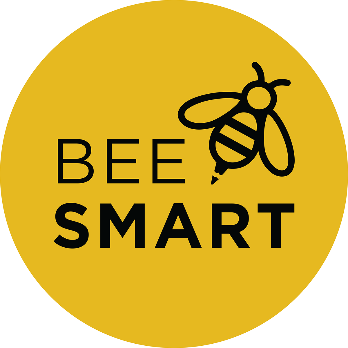 SmartyBee - InspireUplift Marketplace