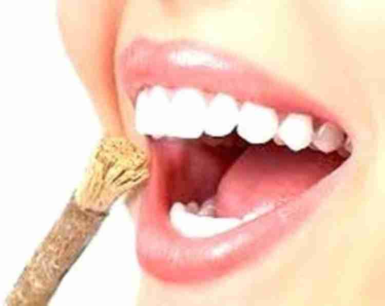 NeemAzaridachtaIChewingToothbrush - InspireUplift Marketplace