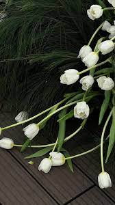 SHAWNNEVINSTORE - Inspire Uplift