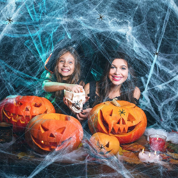 Realistic & Spooky Halloween Spider Web | Inspire Uplift