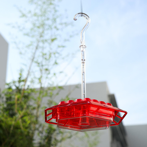 Invite the Splendor - Transparent Hummingbird Feeder with Pe | Inspire ...