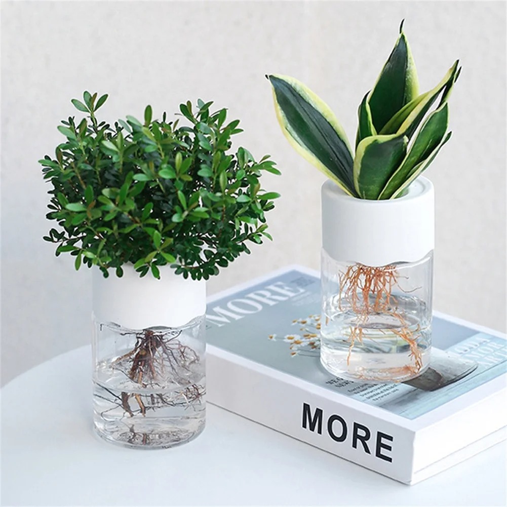 Transparent Hydroponic Flower Pot for Home Decor | Inspire Uplift