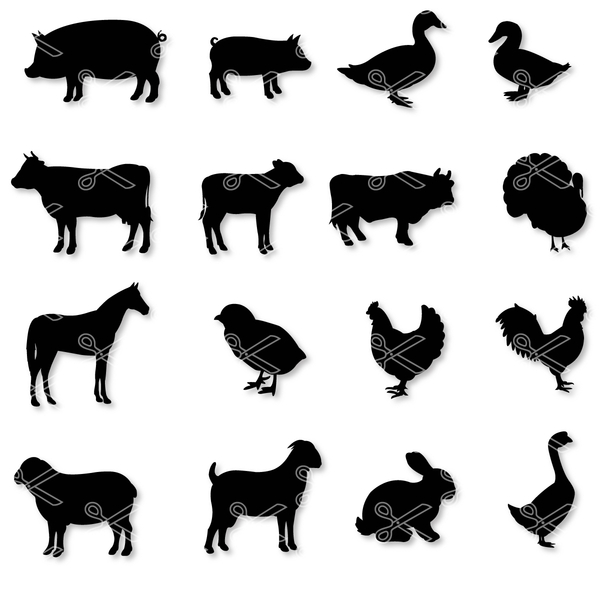 Farm Animals Bundle Svg, Farm Animals Svg, Farm Animals Clip | Inspire ...