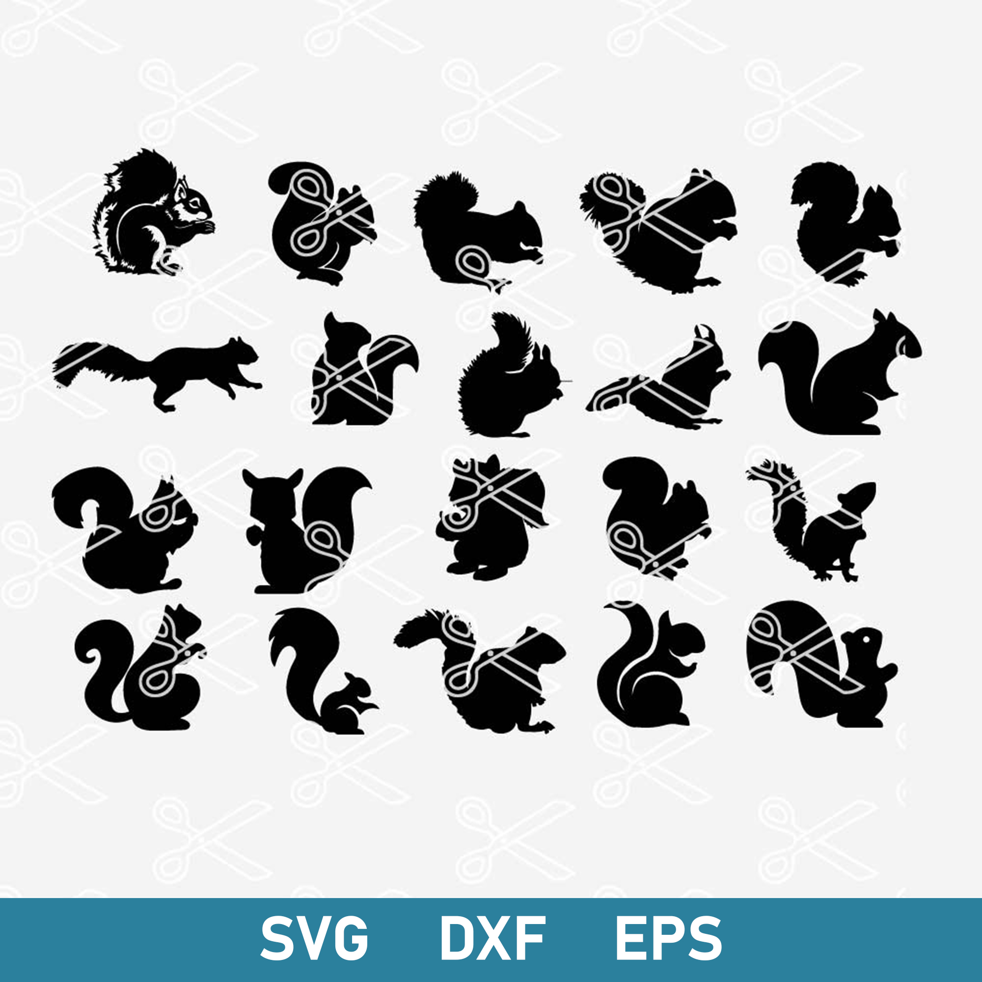 Squirrel Bundle Svg, Squirrel Svg, Animal Svg, Dxf Eps Digit | Inspire ...