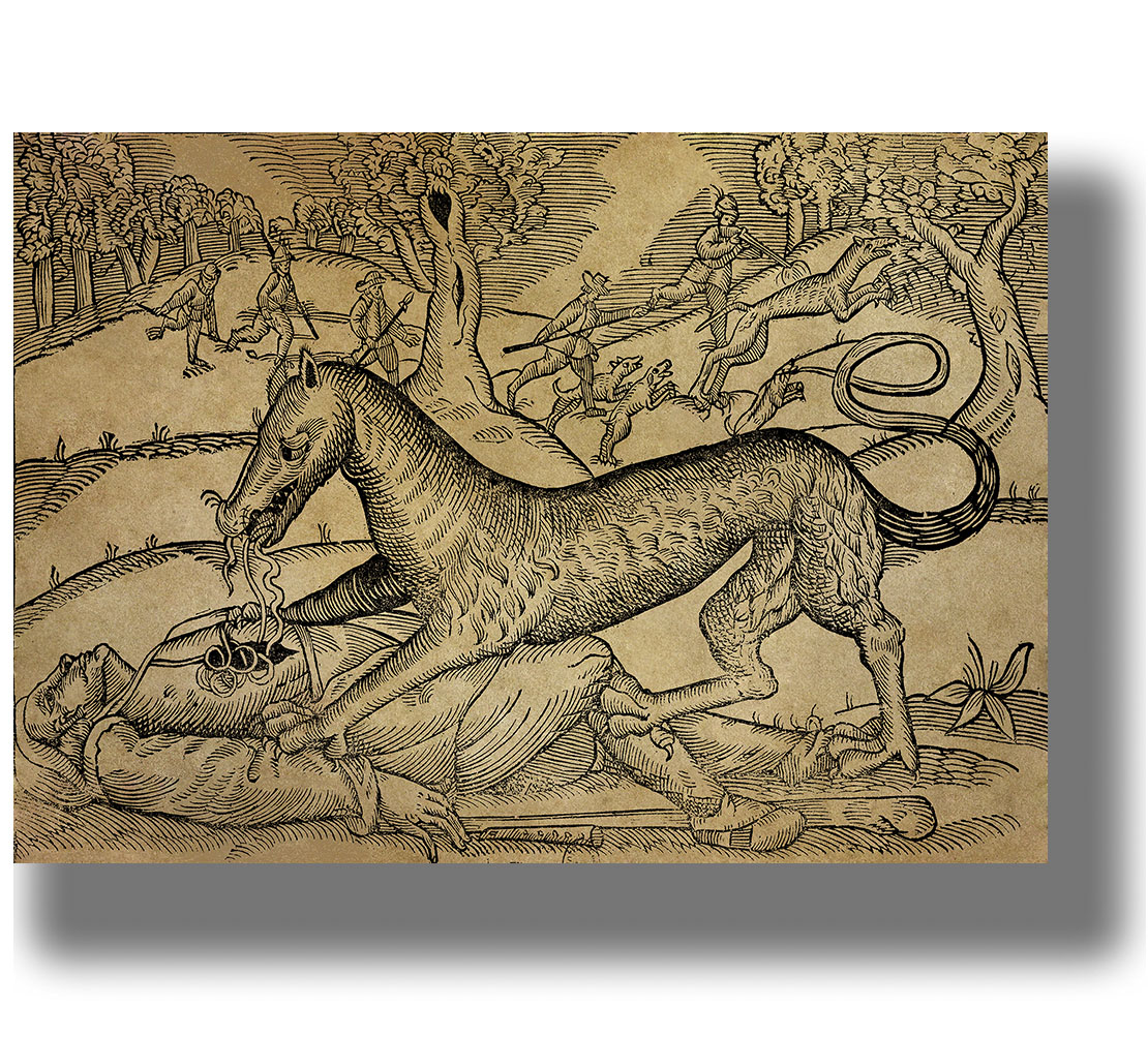 Werewolf Gift - Inspire Uplift