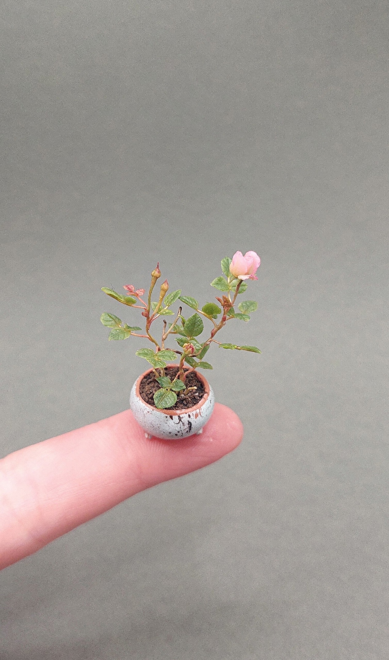 Miniature Realistic Potted Rose 1:12 Scale, Pink Rose Flower | Inspire ...