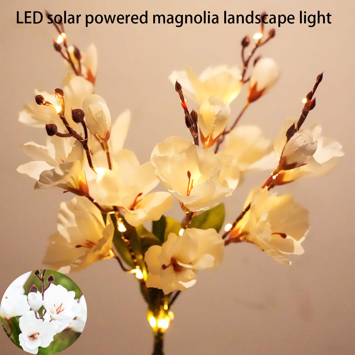 Solar Powered Magnolia Outdoor Waterproof LED Lights | Inspire Uplift