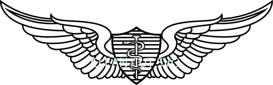 US ARMY BASIC FLIGHT SURGEON BADGE VECTOR FILE Black white v | Inspire ...