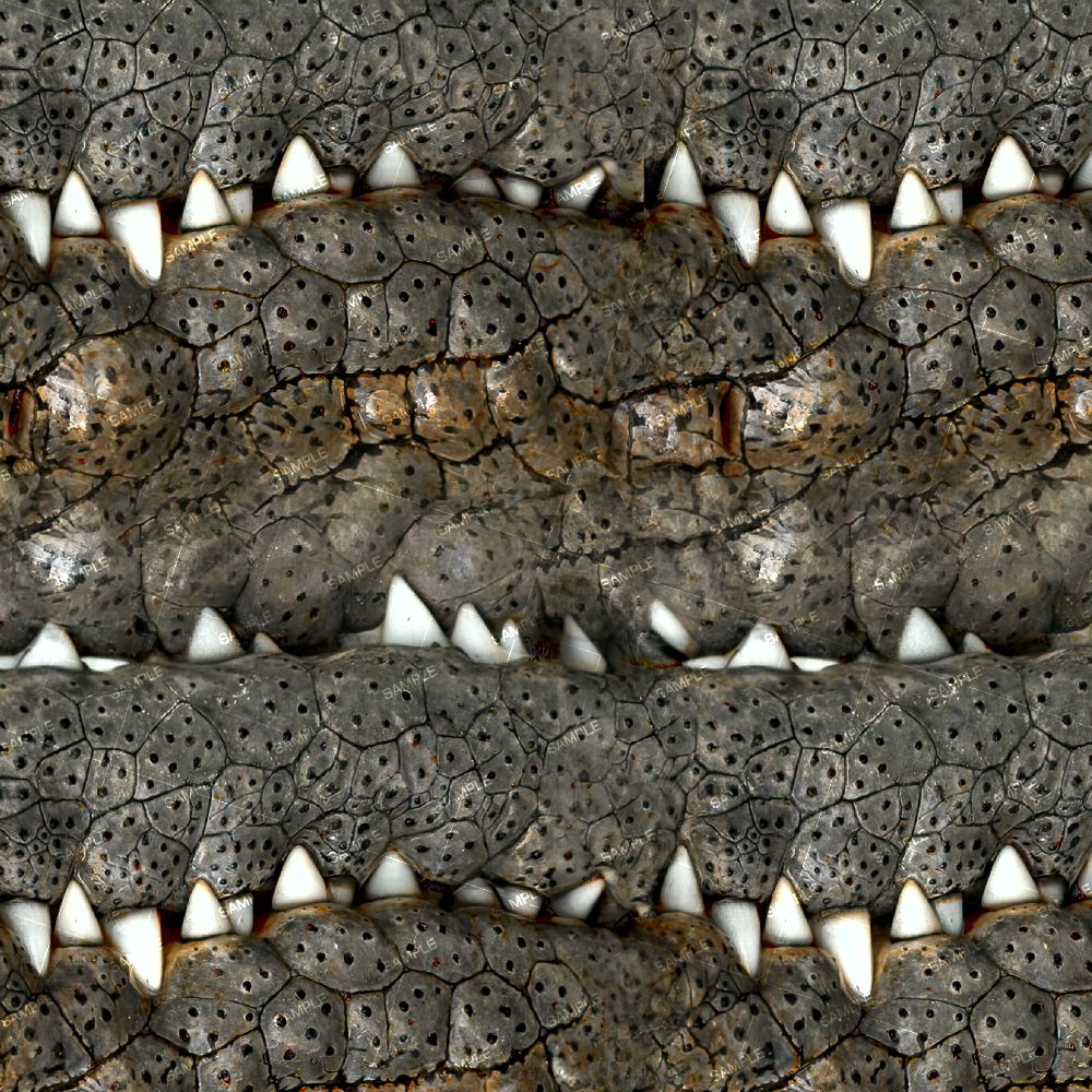 Crocodile Teeth 42 Tileable Repeating Pattern | Inspire Uplift