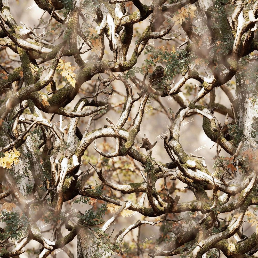 Tactical Camouflage 205 Tileable Repeating Pattern | Inspire Uplift