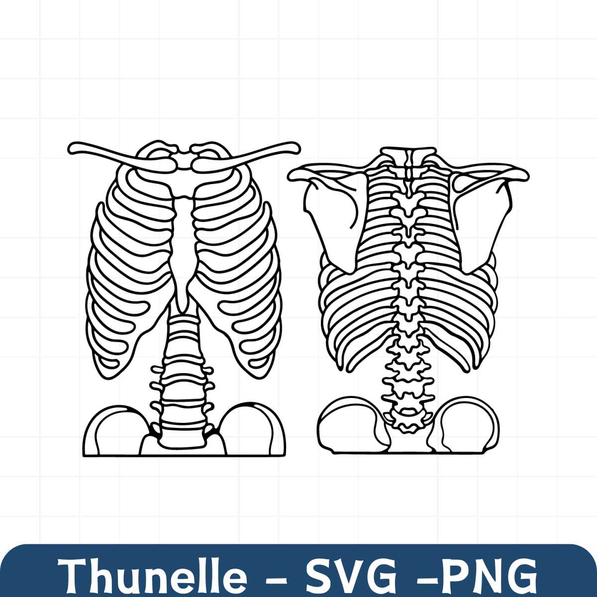 Front and back Ribcage SVG, Rib cage outline, Front Ribcage, | Inspire ...