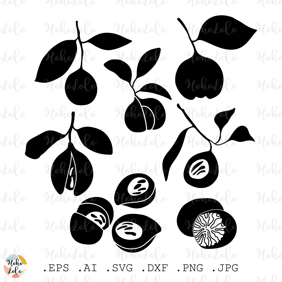 Nutmeg Svg, Nutmeg Silhouette, Nutmeg Cricut, Nutmeg Stencil | Inspire ...