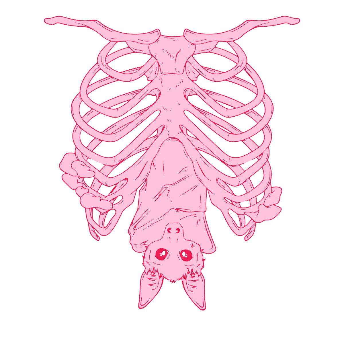 Pink Ribs Bat Halloween Skeleton Svg, Bat Skeletons Hallowee | Inspire ...