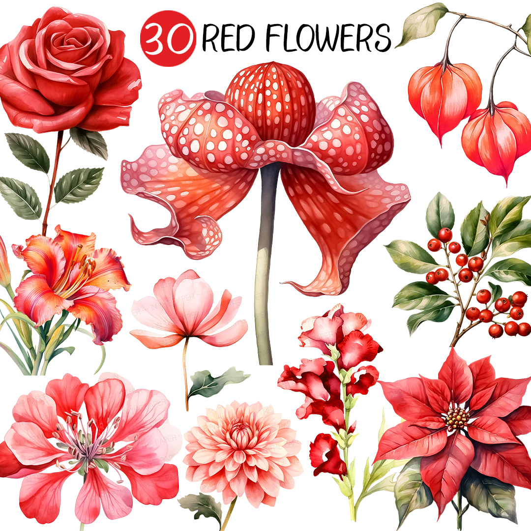Watercolor Red Flowers PNG | Floral Clip art Collection Beau - Inspire ...
