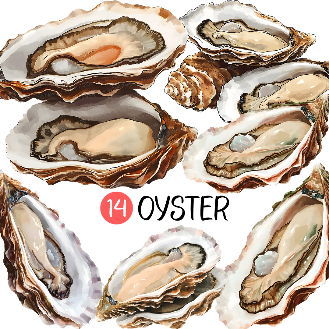 Oyster PNG | Seafood clip art illustration planner sticker d - Inspire ...