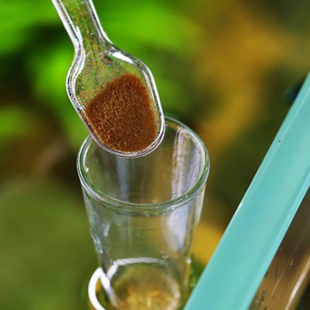 Transparent Glass Aquarium Feeding Tube - Inspire Uplift