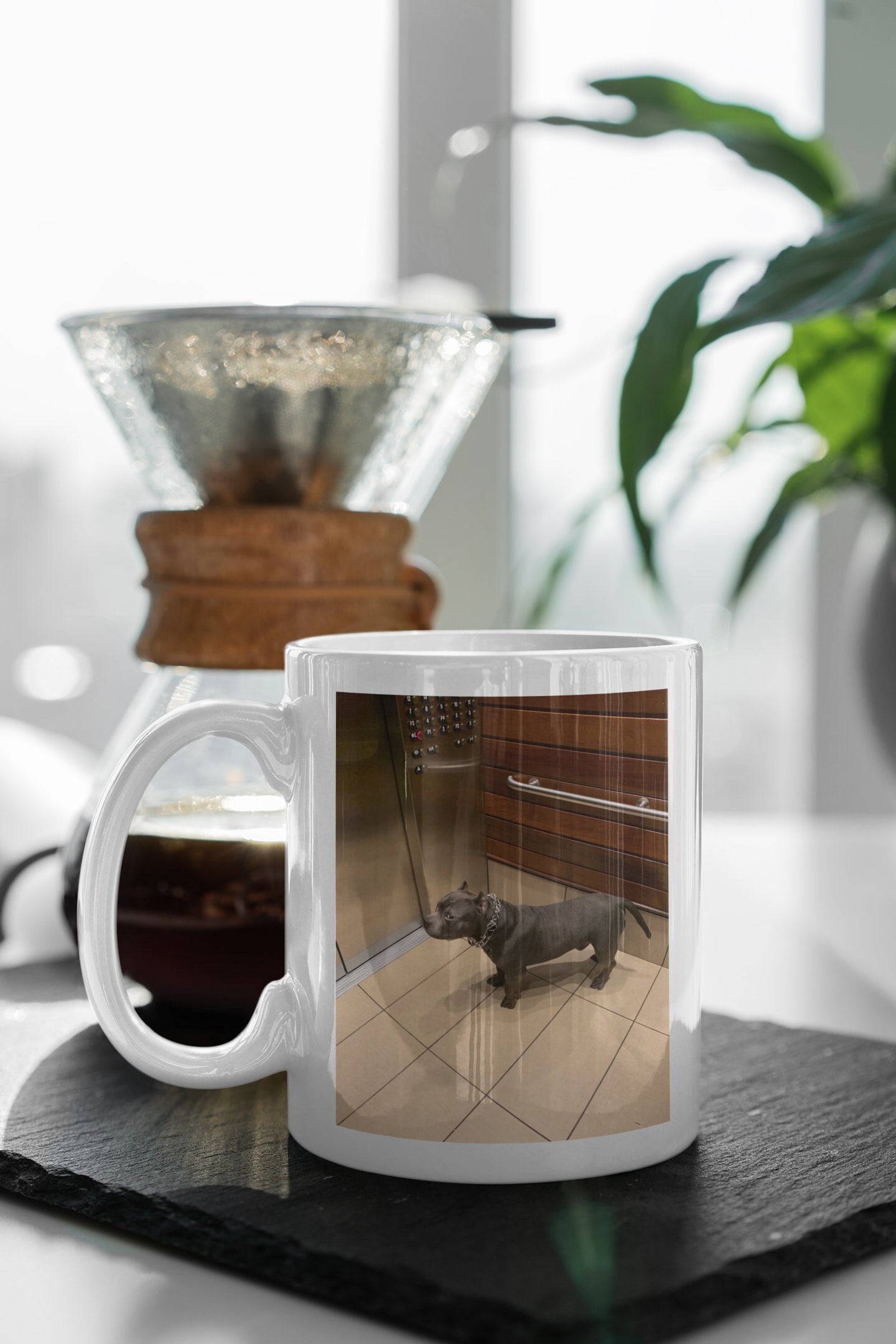 Dog Meme, Sus Dog Side Eye In Elevator, Funny Dog Gift, Gift - Inspire ...