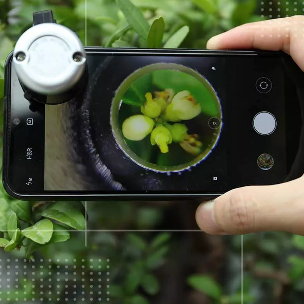 30x Zoom Portable LED Phone Microscope - Inspire Uplift