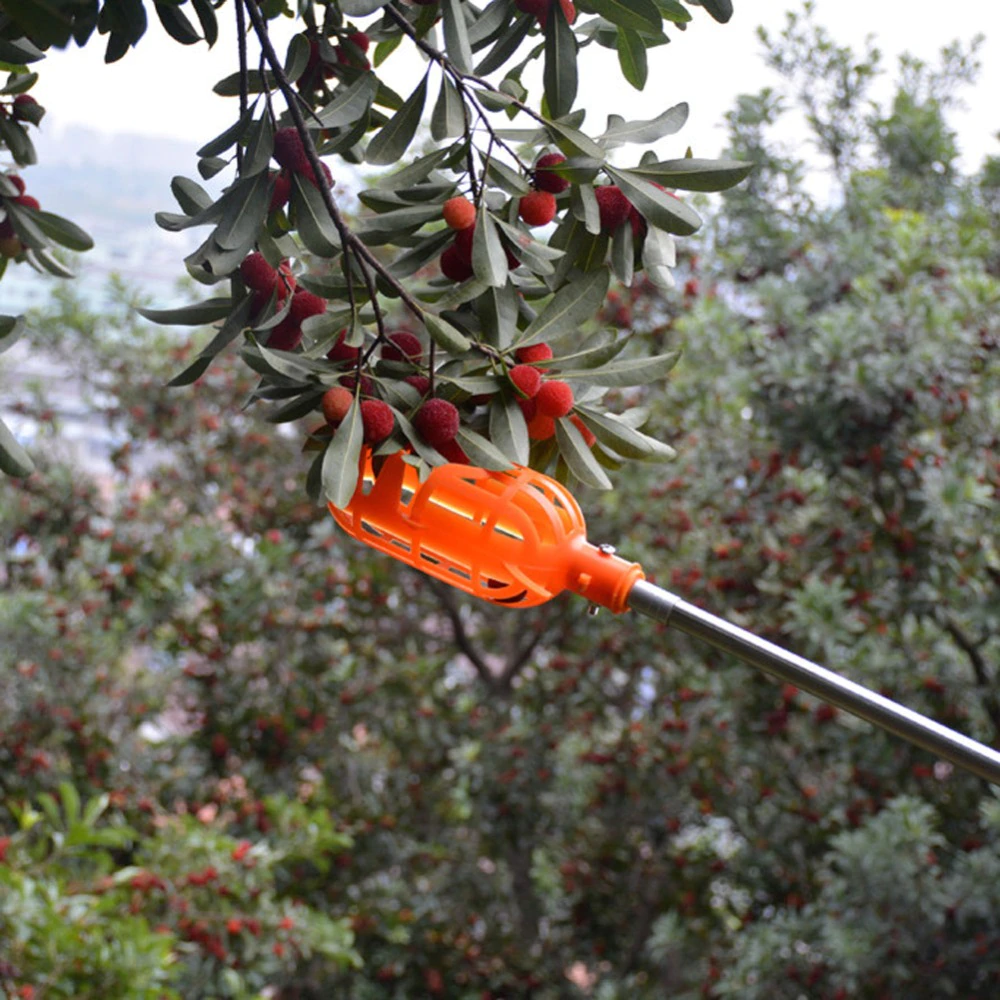 2-In-1 Fruit Picker & Basket (43% Off) | Inspire Uplift