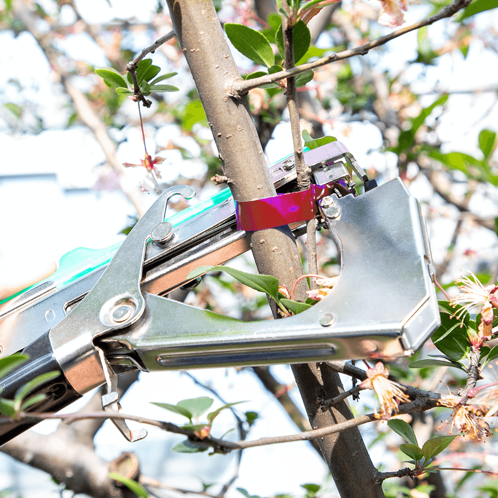 10 Pcs Belt Plant Tying Staple Gun - Inspire Uplift