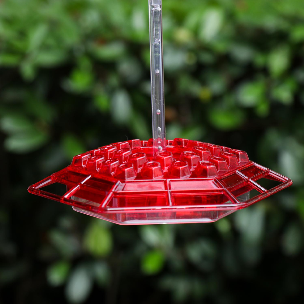 30 Tube Dustproof Hummingbird Feeder - Inspire Uplift
