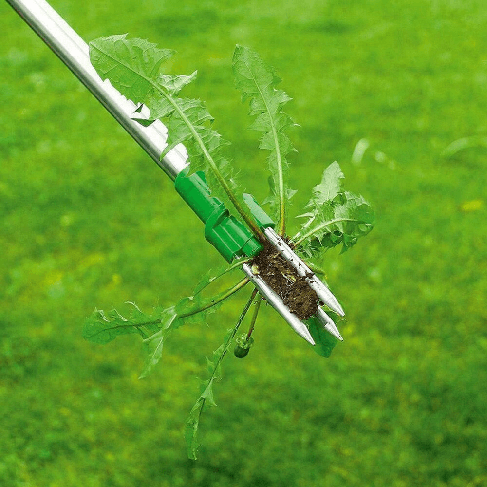 Easy Painless Standing Weed Removal Tool | Inspire Uplift
