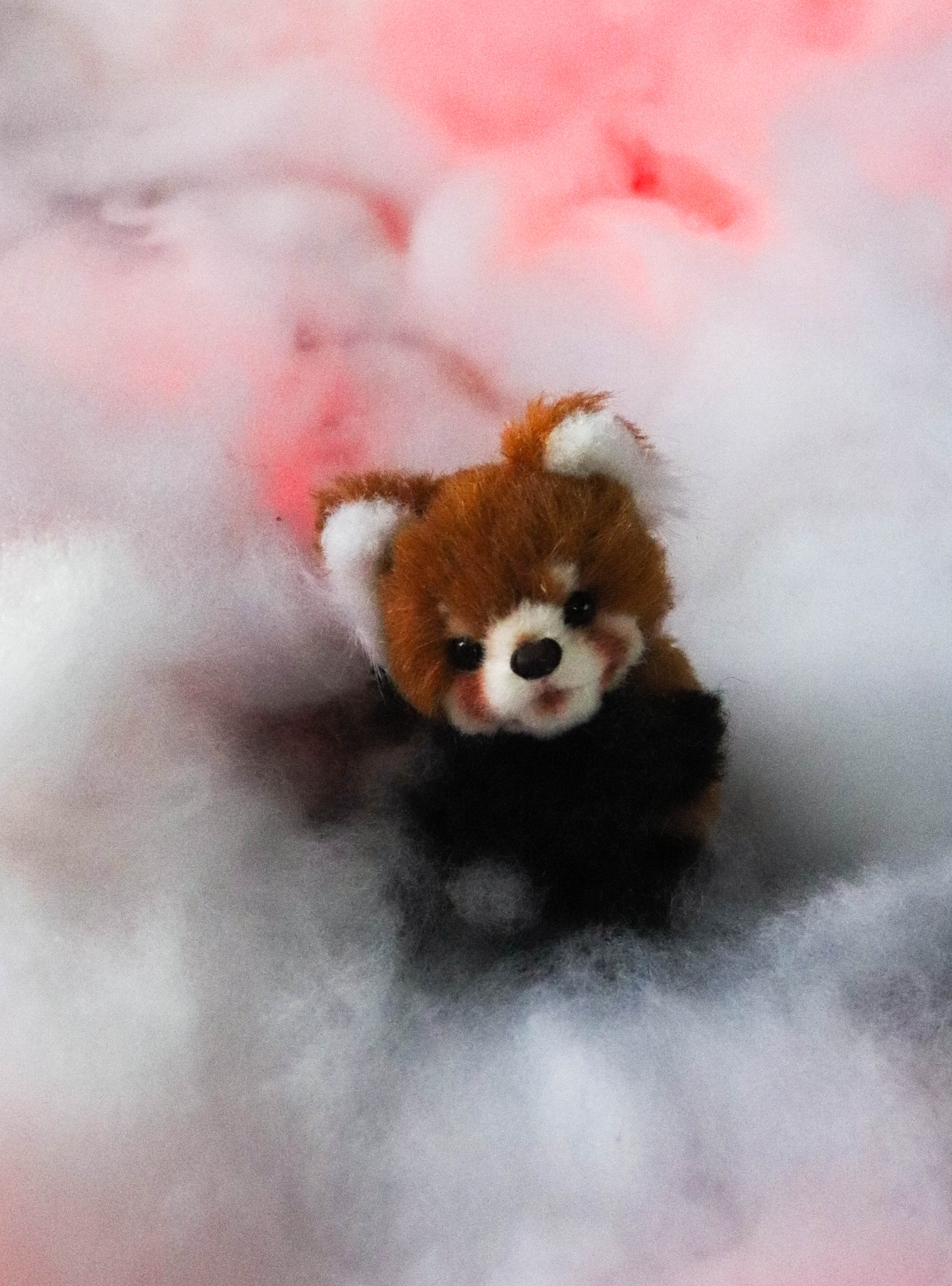 Miniature red Panda Mini - Inspire Uplift