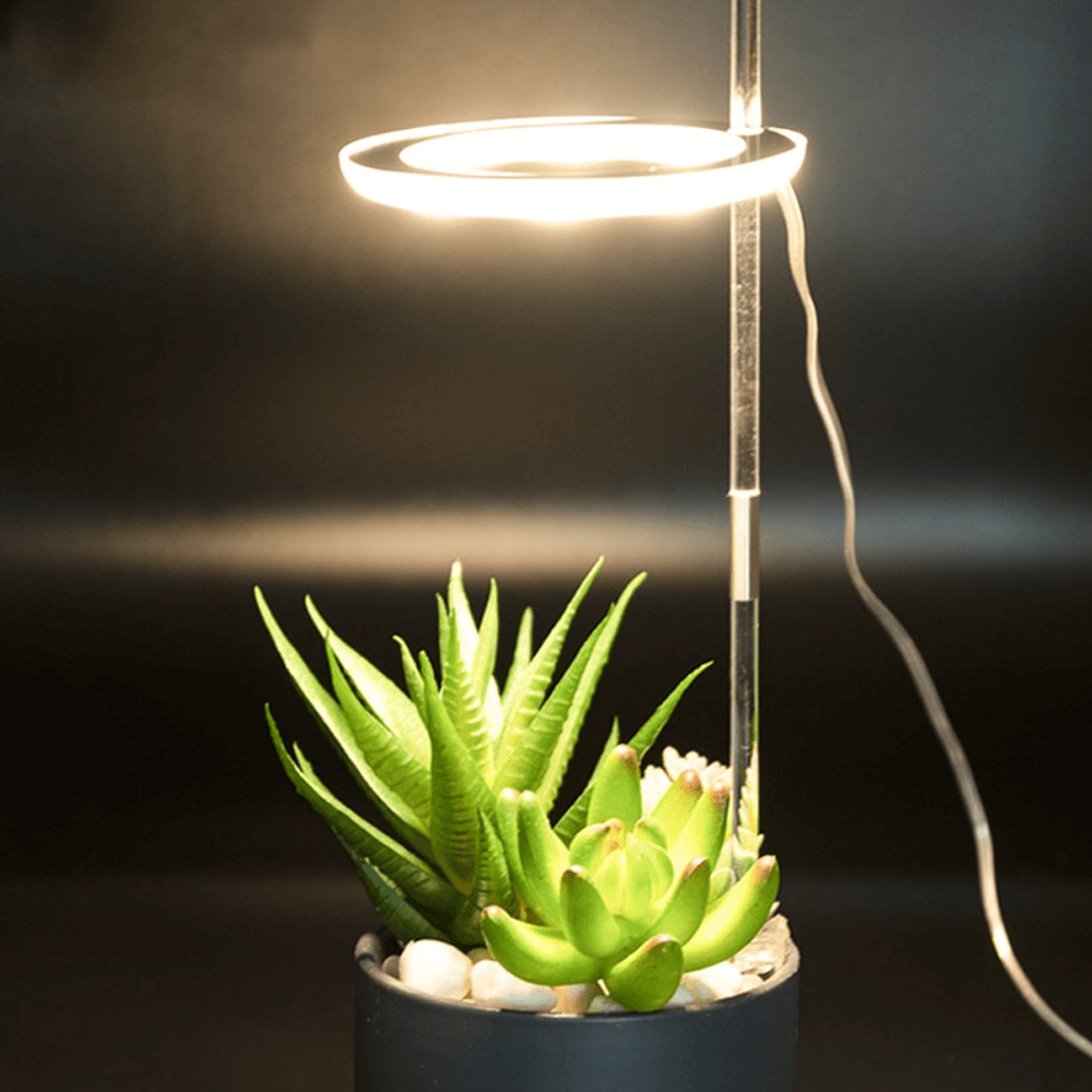 Angel Ring Light For Indoor Plant Growth | Inspire Uplift
