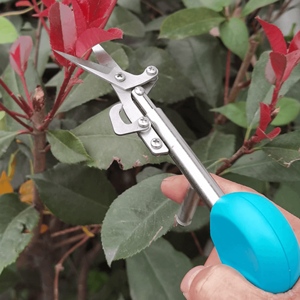 Pointed Gardening Scissors W/ Safety Latch - Inspire Uplift