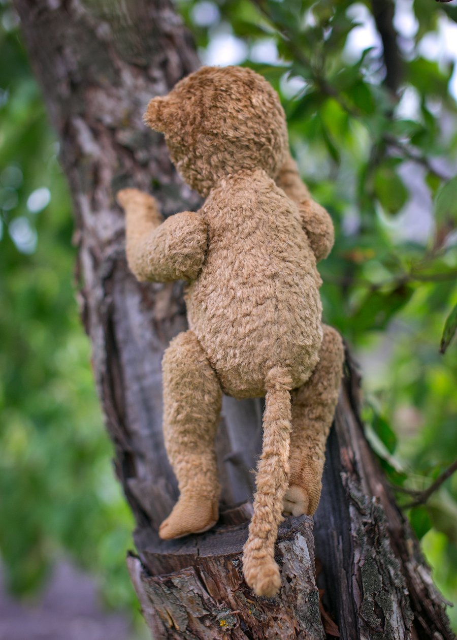 Teddy Monkey sewing pattern PDF plushie toy handmade DIY - Inspire Uplift