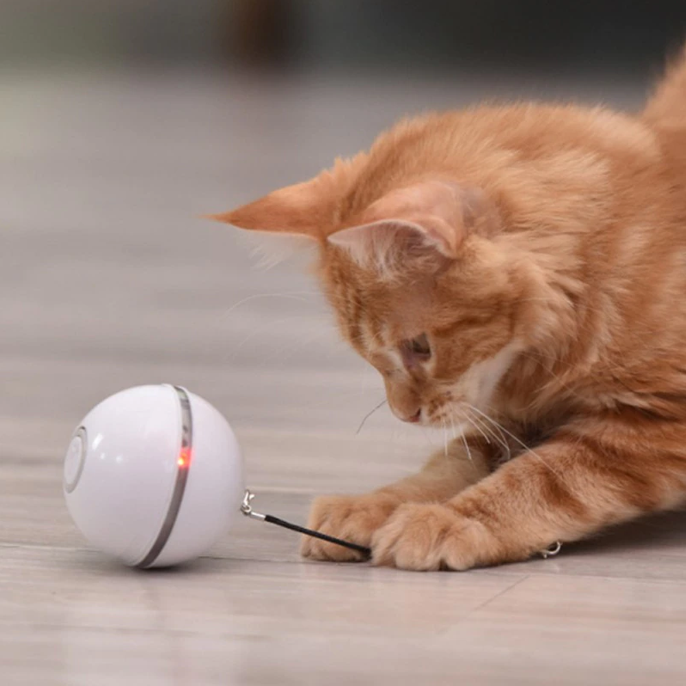 360° Auto-Spinning LED Cat Ball | Inspire Uplift