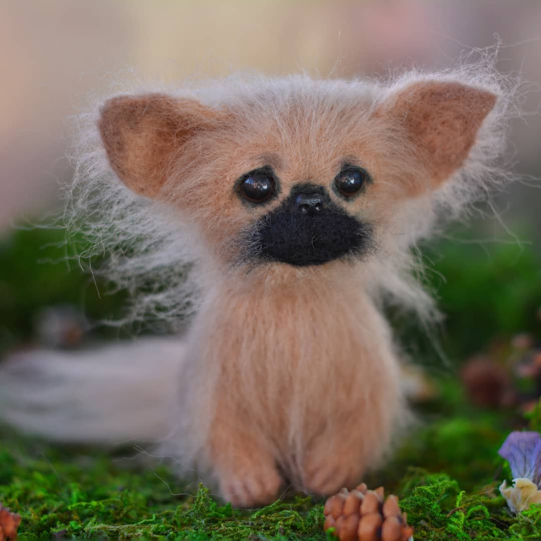 Japanese chin. Chin dog. Realistic dog. Realistic animal | Inspire Uplift