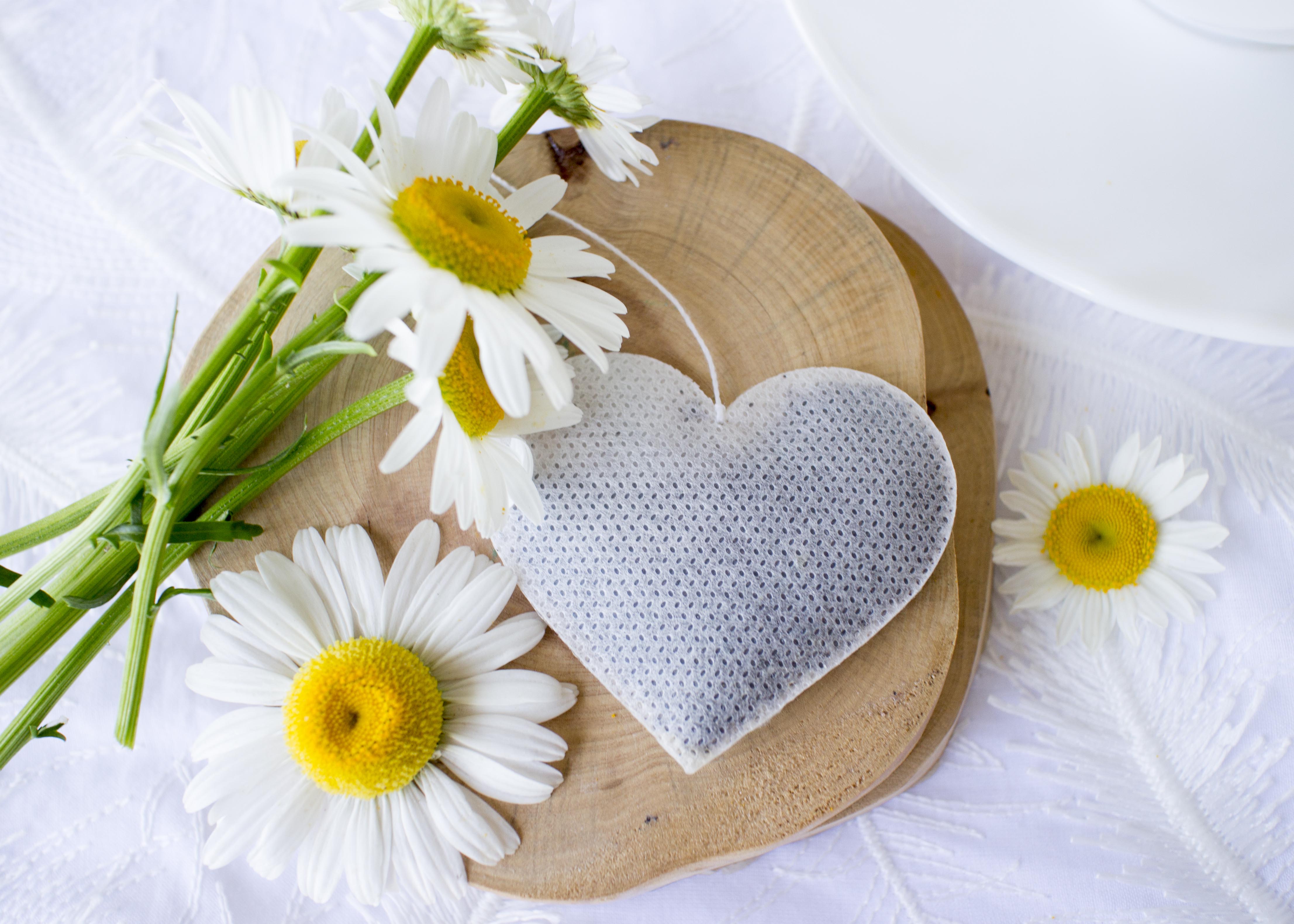 Heart shaped tea bags. Set 10 pcs. - Inspire Uplift