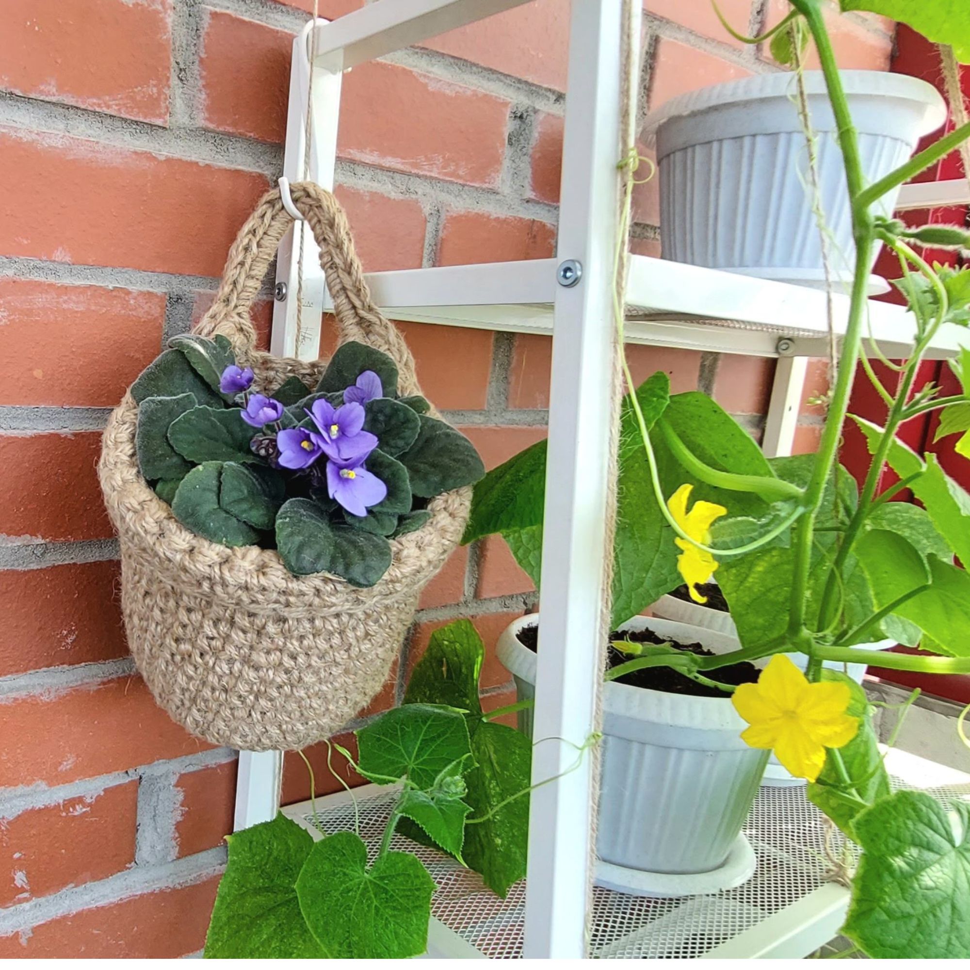 Minimalist plant hanger Wall hanging storage Cozy home gift | Inspire ...
