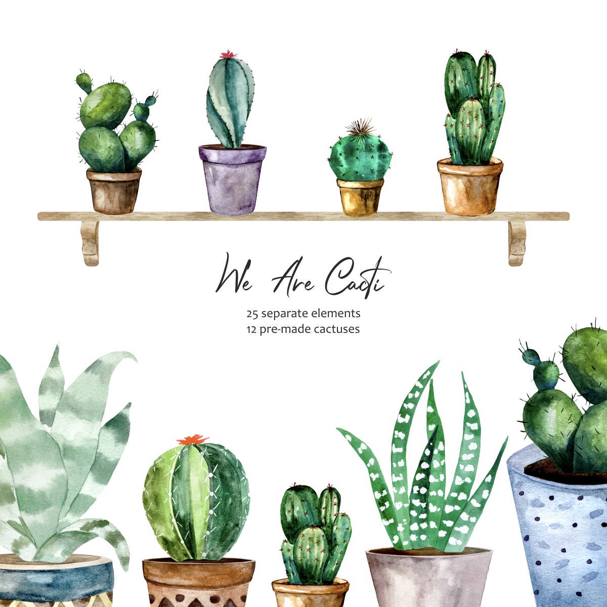 Watercolor cactus clipart, PNG cacti succulents in pots | Inspire Uplift