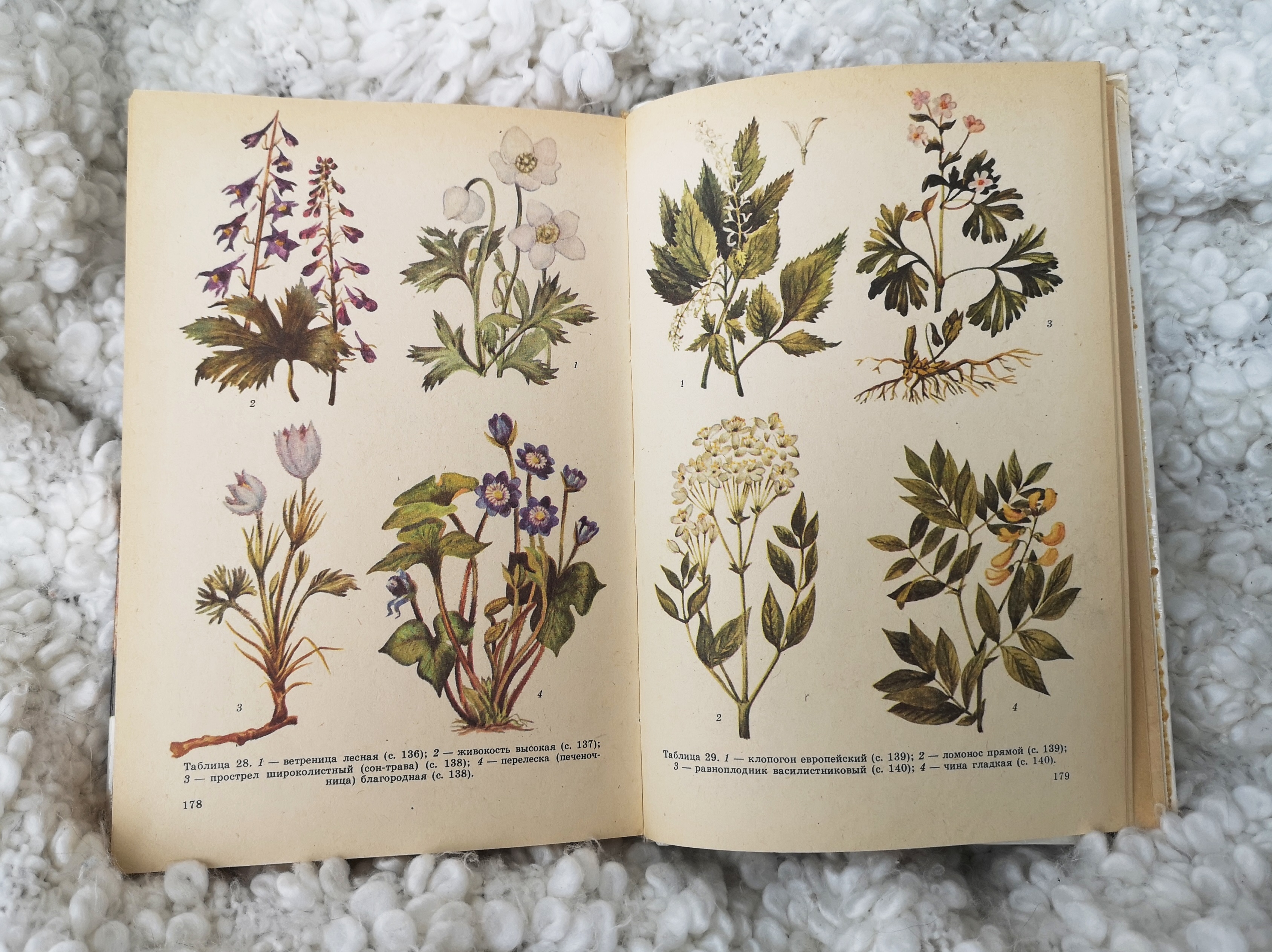 Vintage botanical guide, animal illustrations, bird prints, - Inspire ...