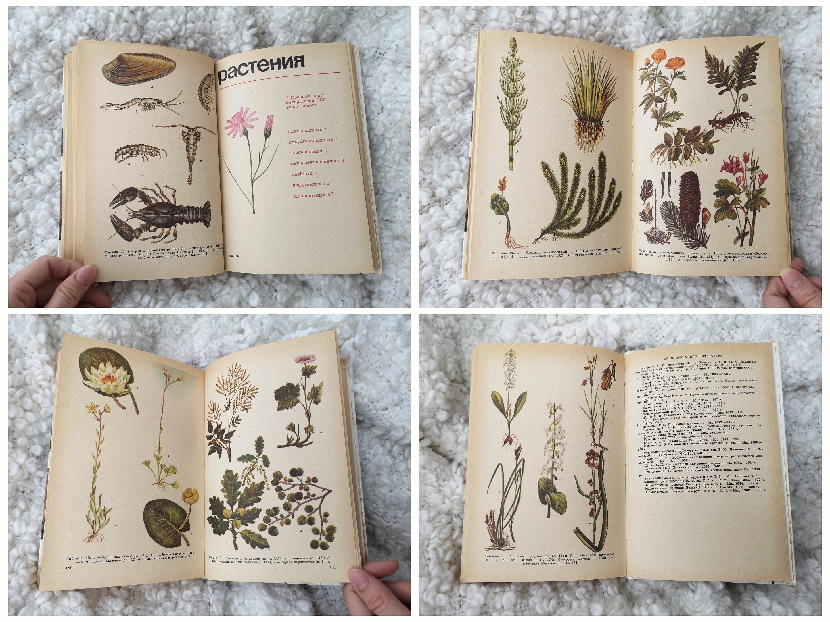 Vintage botanical guide, animal illustrations, bird prints, - Inspire ...