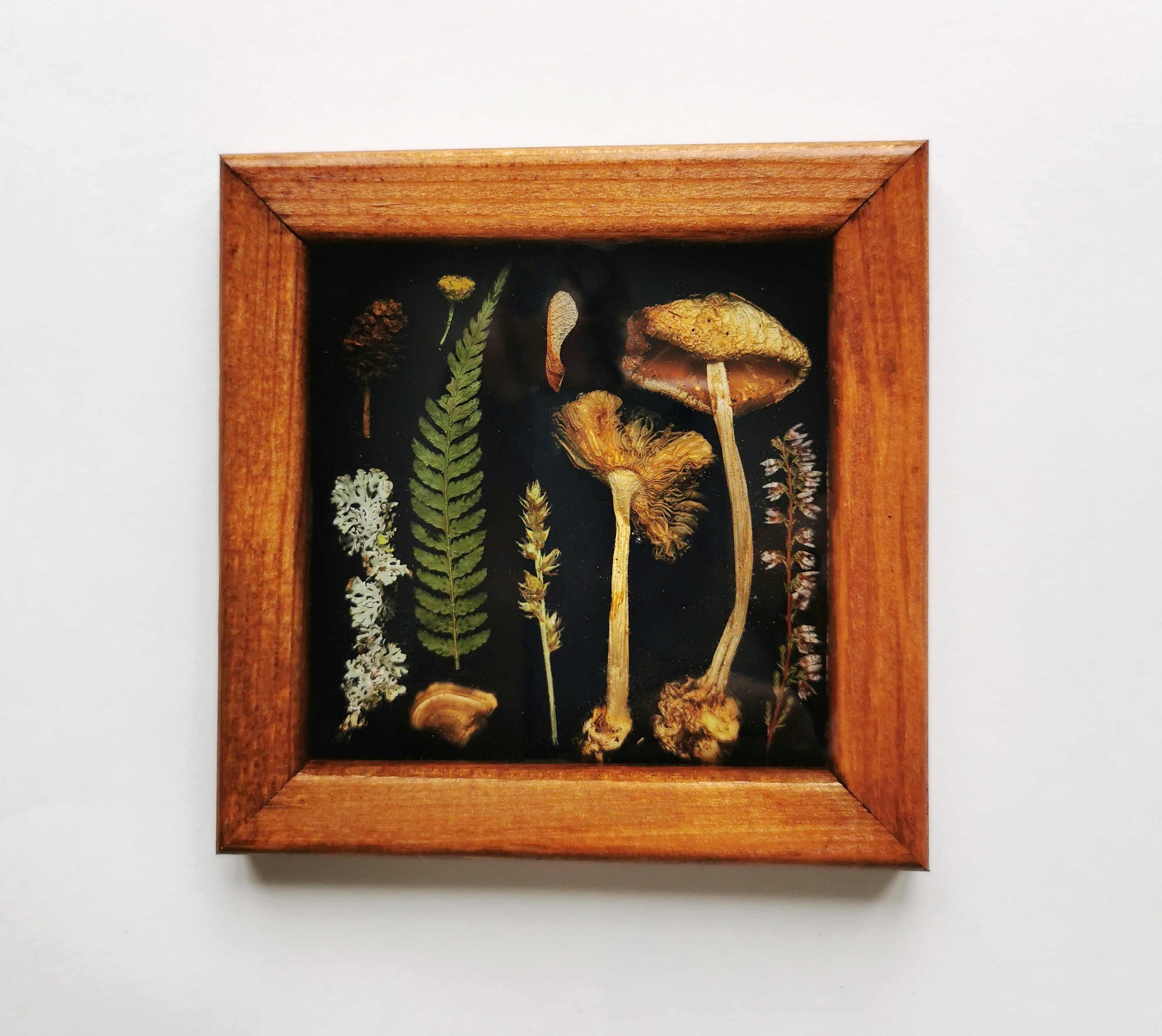 Mushroom Frame Mushroom Decor Mushroom Resin Art Mushroom Wa - Inspire ...