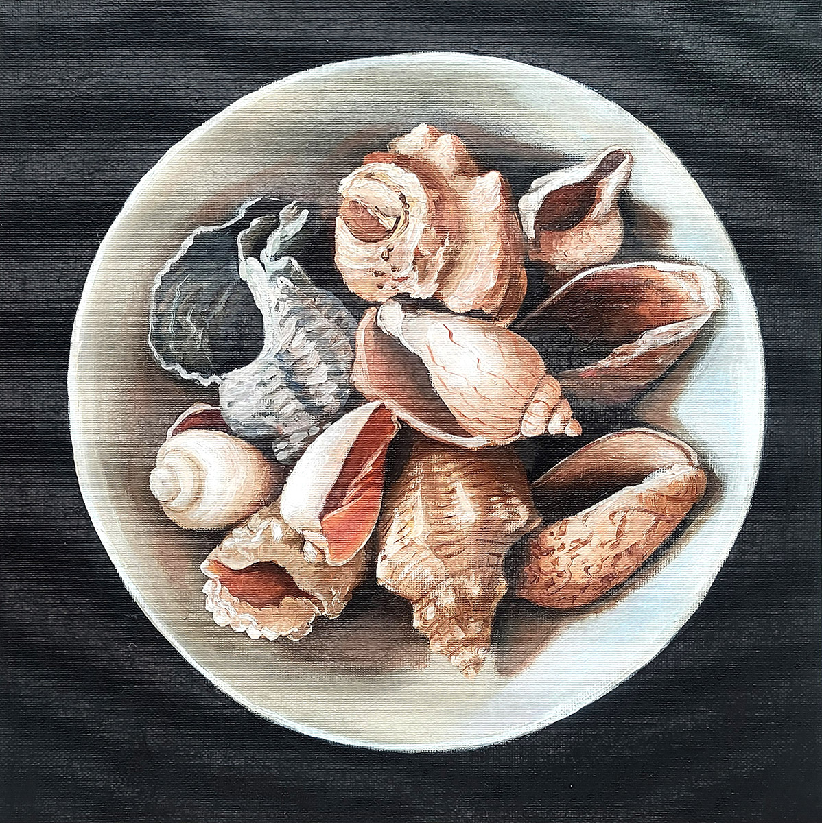 Seashell Painting, Original Art, Still life Painting, Seashe | Inspire ...