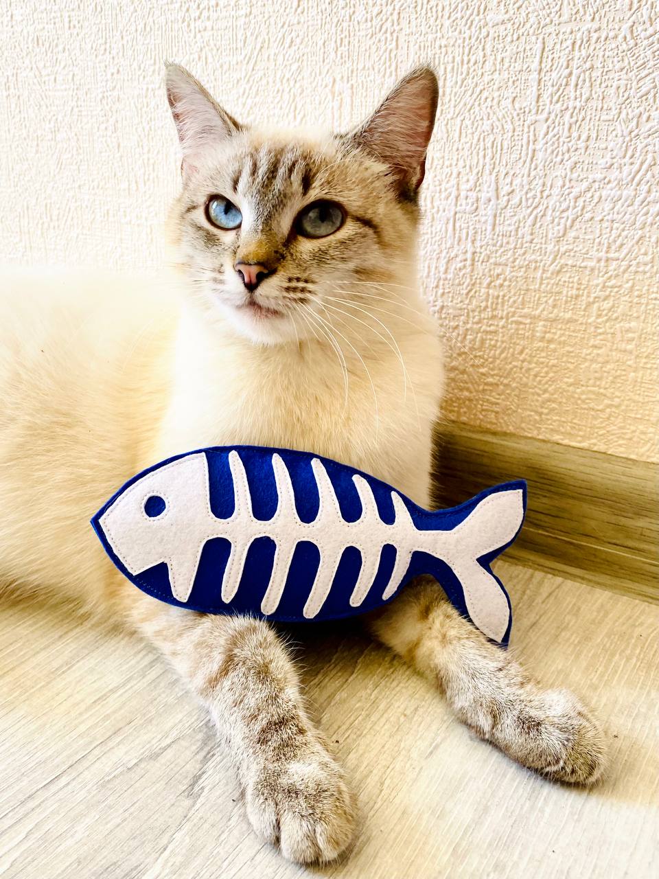 Personalized Fish cat toy | Inspire Uplift
