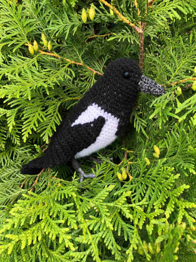 Magpie pattern, Magpie gift diy, crochet magpie bird toy tut - Inspire ...