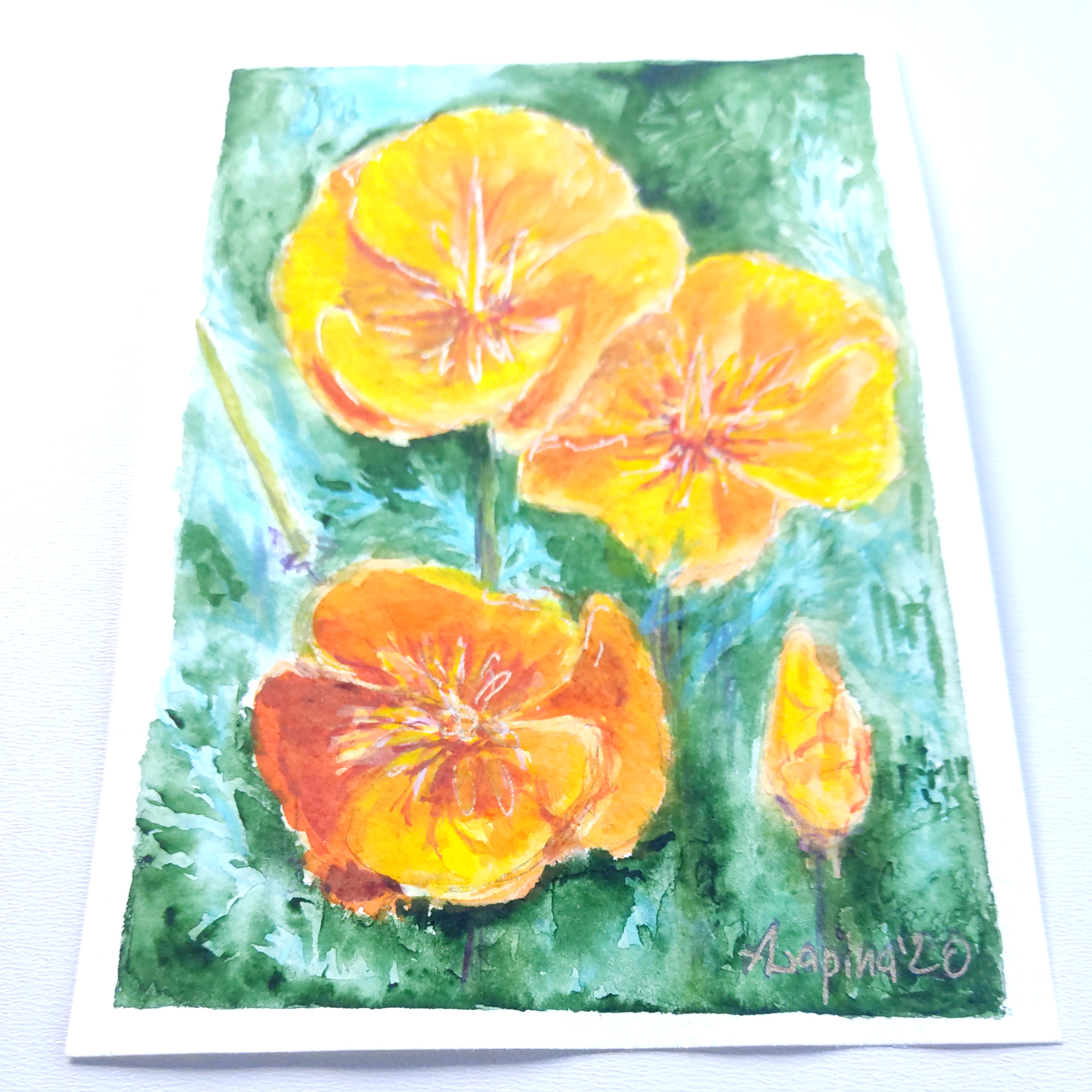 California poppy painting original watercolor art orange flo - Inspire ...