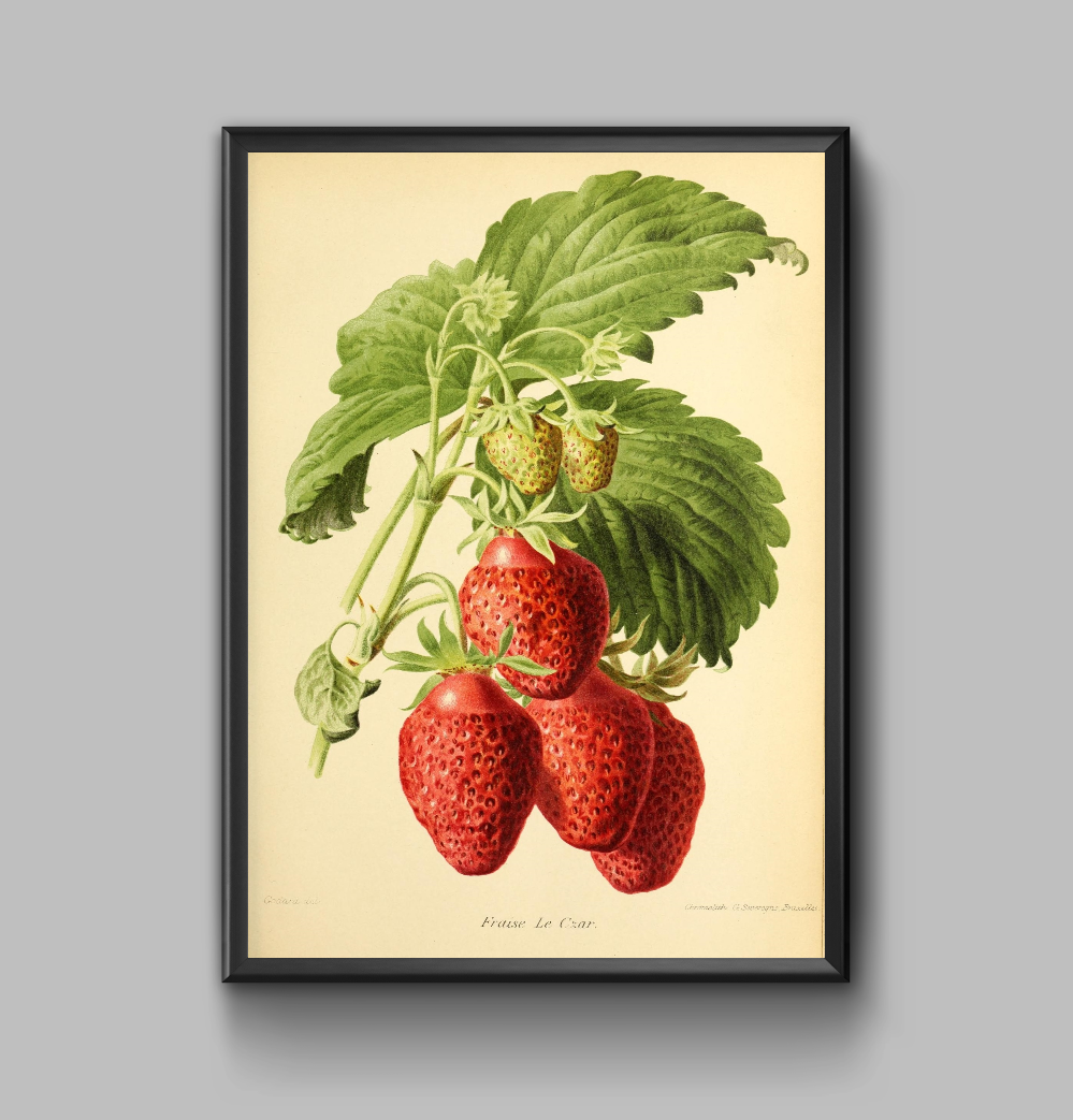 Vintage poster strawberry, digital download | Inspire Uplift