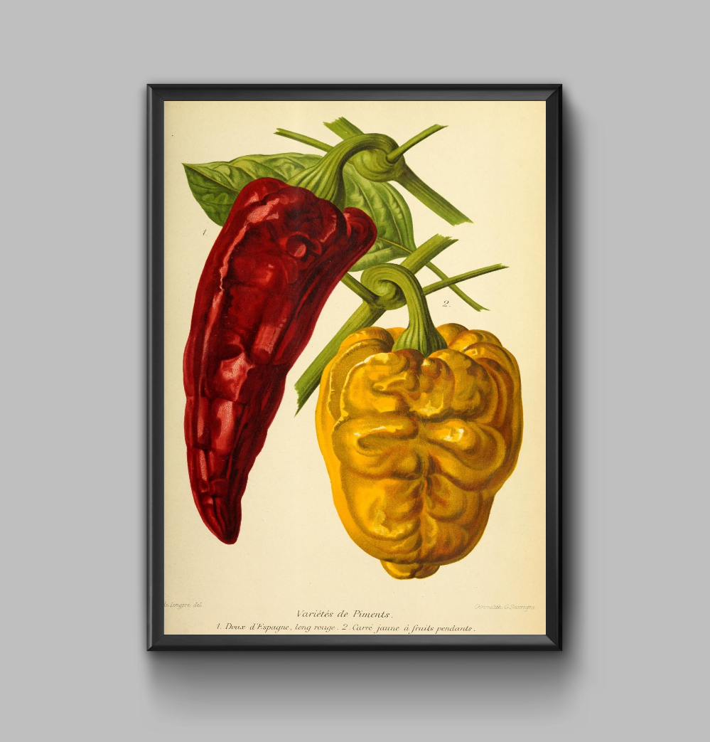 Vintage poster varieties of peppers, digital download | Inspire Uplift