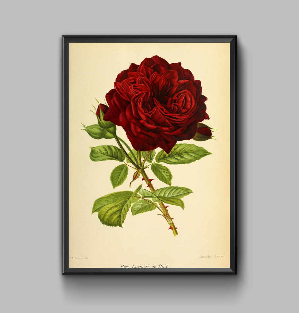 Vintage poster red rose, digital download | Inspire Uplift