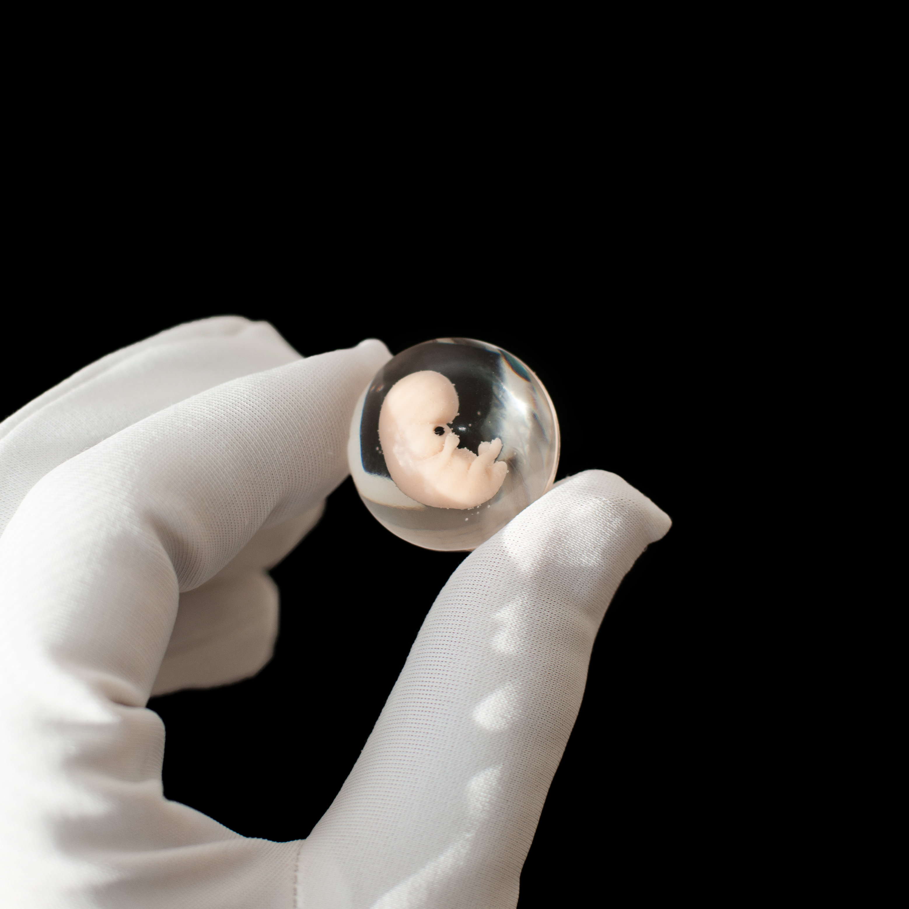 Embryo 7 weeks in Lens, 7 weeks pregnant, Sculpture cast in - Inspire ...