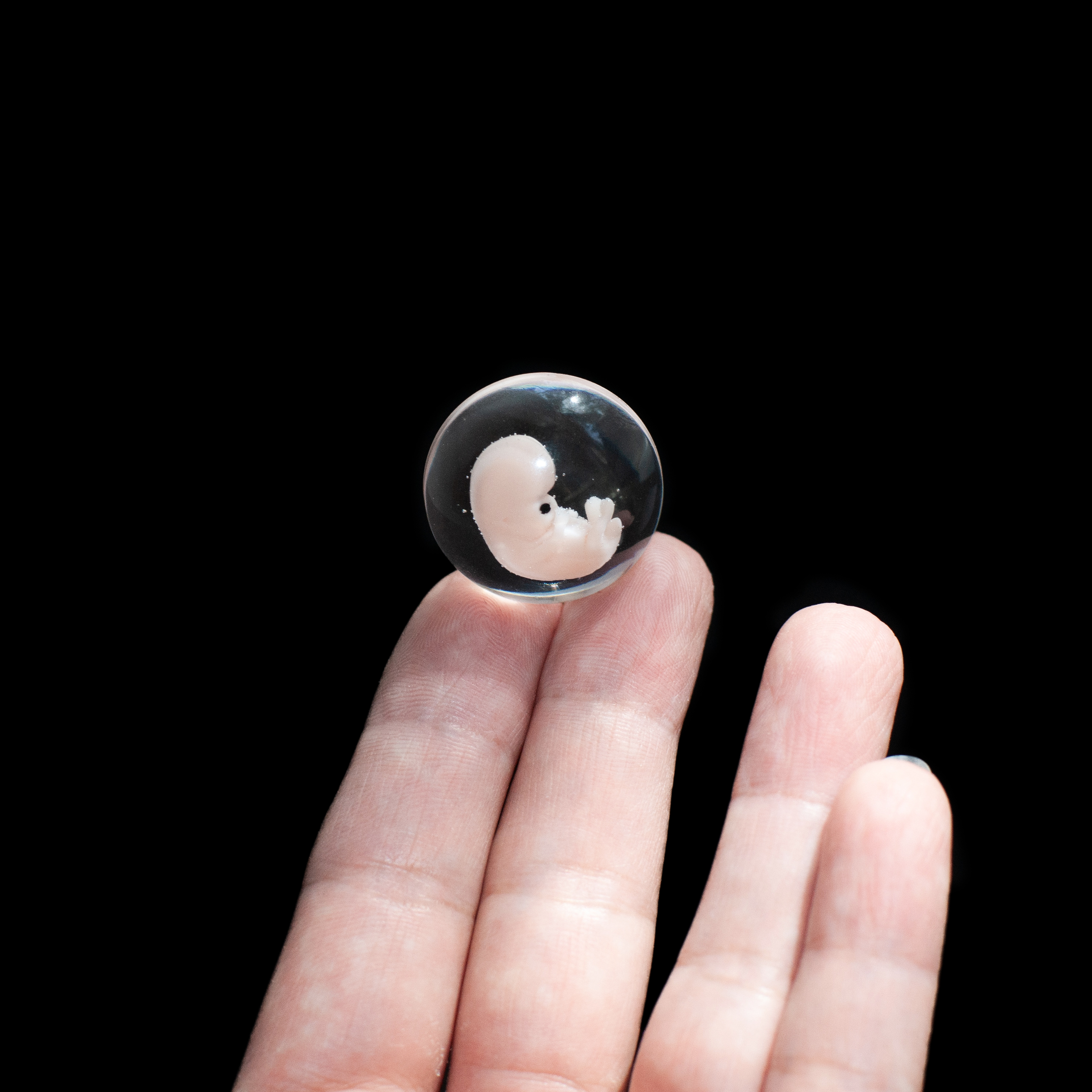 Embryo 7 weeks in Lens, 7 weeks pregnant, Sculpture cast in - Inspire ...